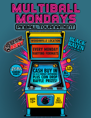 PINBALL – Black Raven Brewing Co.